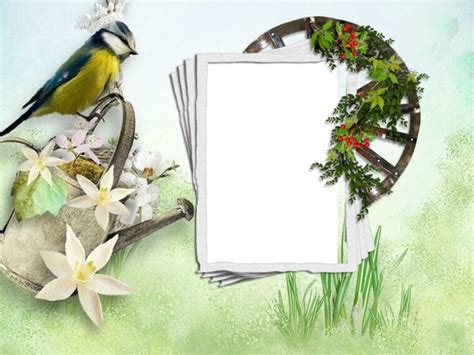 Frames Design Template Pixiz