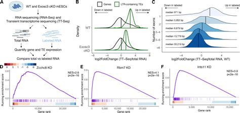 Nuclear Rna Catabolism Controls Endogenous Retroviruses Gene