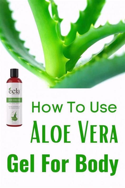Overwatered Aloe Vera Plant Signs And Solutions Artofit