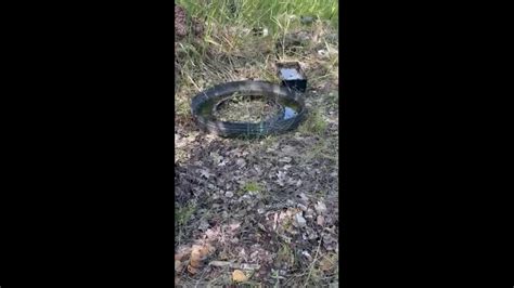 Сегодня 14 августа отмечается праздник Медовый Спас сочетающий в