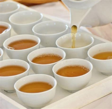 Cata De Té De La India Gourmet