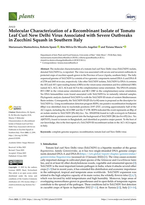 Pdf Molecular Characterization Of A Recombinant Isolate Of Tomato Leaf Curl New Delhi Virus