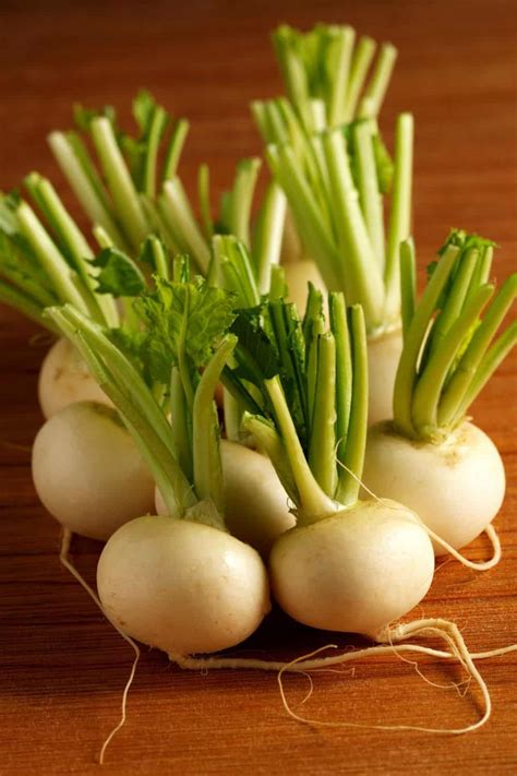 How To Freeze Turnips Storage Thawing And Usage Tips