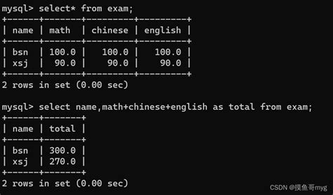 MYSQL详解CRUD mysql查看数据库 CSDN博客