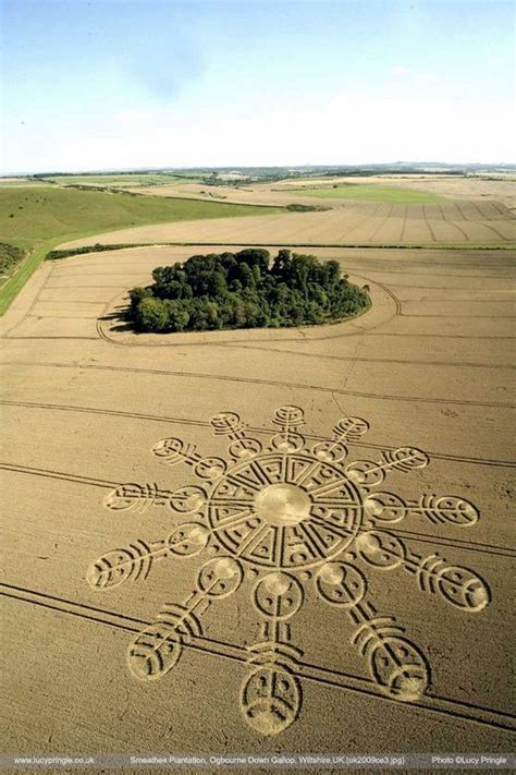 Another World Crop Circle Arts Drawn By Humans Bored Art Crop Circles Circle Art Crop