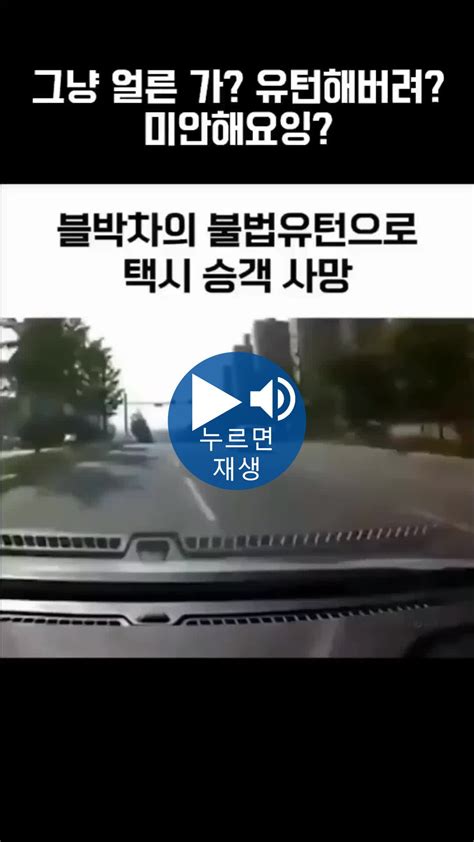 블박차 불법유턴으로 택시 승객 사망 유머 움짤 이슈 에펨코리아