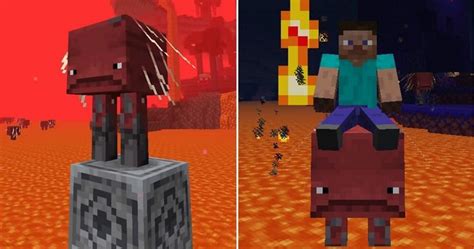 How To Ride Striders In Minecraft