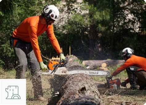 Tree Cutting Services Hammond La Tangi Tree