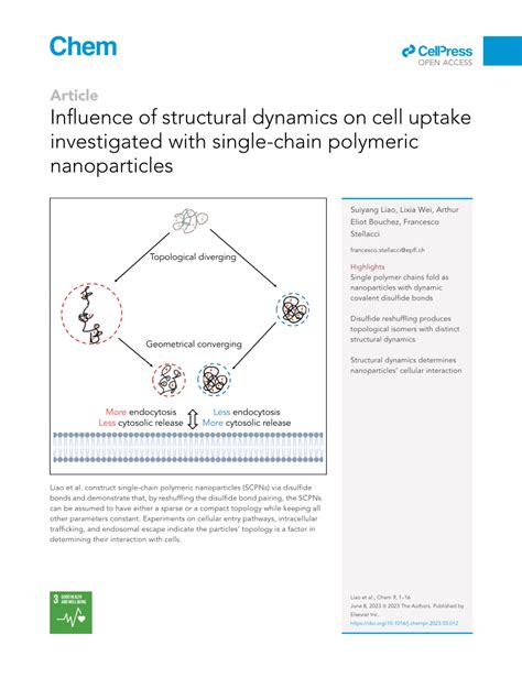 Pdf Influence Of Structural Dynamics On Cell Uptake Investigated With