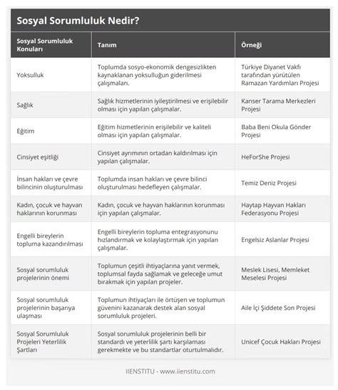 Sosyal Sorumluluk Konuları ve Örnekleri Sosyal Bilgiler Sosyalciniz