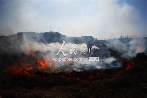 浙江绍兴：焚烧秸秆 污染环境 人民图片网