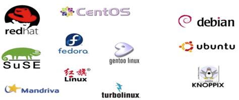 Linux 基础知识（一）linux Writeonread Csdn博客