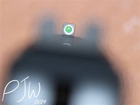 Lcp Max Front Sight ⋆ Primer Peak
