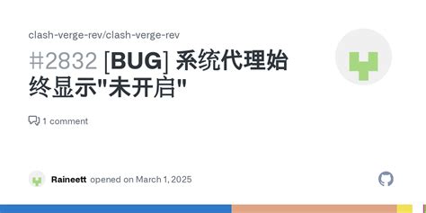 Bug 系统代理始终显示未开启 · Issue 2832 · Clash Verge Revclash Verge Rev