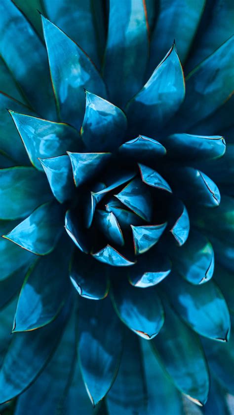 Teal Aesthetic Wallpaper Artofit