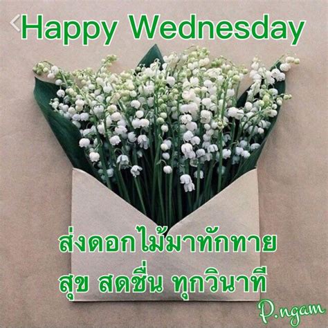 ปักพินโดย Tinar See ใน พุธ สวัสดี วันพุธ สวัสดี