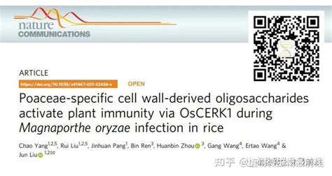 Nature Communications 中科院微生物所刘俊研究组发现了水稻抗病的新机制 知乎
