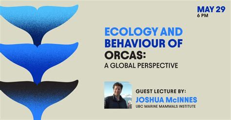 Orcas Are Found In Oceans All Over The World But Their Behaviour The