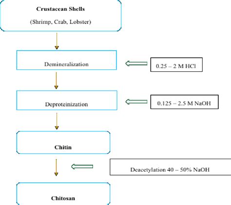Figure 2 2 From Comparison Of Extraction Methods And Characterisation Of Chitin And Chitosan