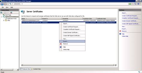 Solved Require TLS Encryption Option Greyed Out Of IIS 6 SMTP Relay