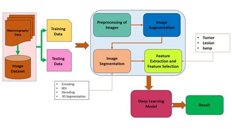 How Cnn Enhances Mammography Interpretation Journal Of Pioneering Medical Sciences Posted On