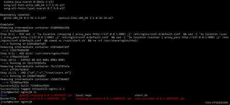 Docker Web Csdn