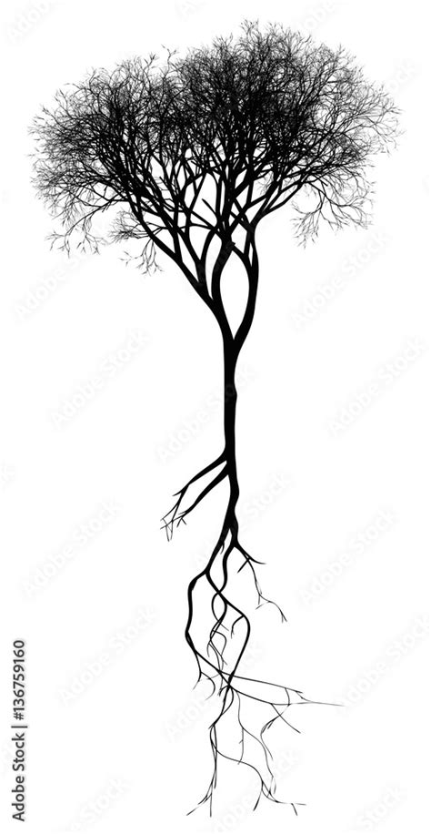 Black Naturalistic Bare Tree With Root System Vector Illustration Stock Vector Adobe Stock
