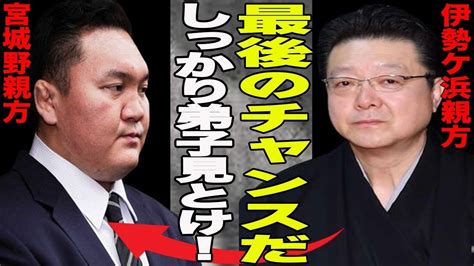 宮城野部屋から伊勢ヶ濱部屋への転籍による問題とは弟子の証言から見える現状と親方の変化 AlphaTimes