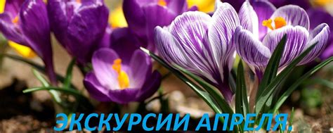 21 04 МК МОЗАИКА из СТЕКЛЯННОЙ ПЛИТКИ Мы продолжаем цикл наших