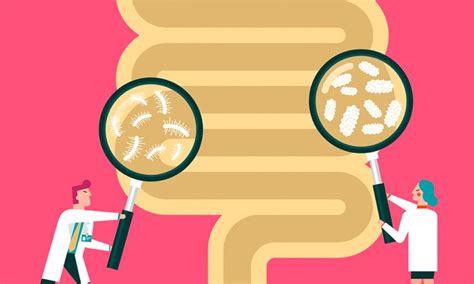 Advanced Food Intolerance Labs