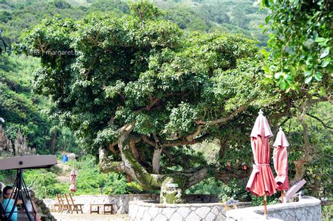 芹壁聚落。馬祖閩東建築群山海之美｜景點。美食。住宿。交通