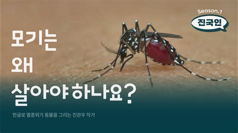 모기가 멸종하면 생태계에서 모기의 역할 한글로 멸종위기종을 그리는 작가 진관우ㅣ시즌1 없었는데 있었습니다 Youtube