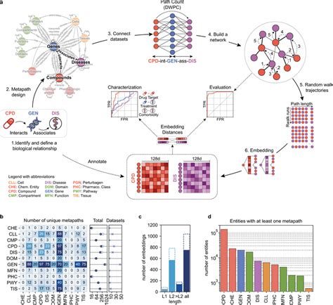 Generating The Bioteque Embeddings A Scheme Of The Methodology First