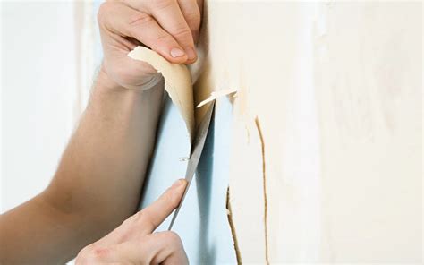 چگونه کاغذ دیواری را بکنیم؟ مجله خوگر