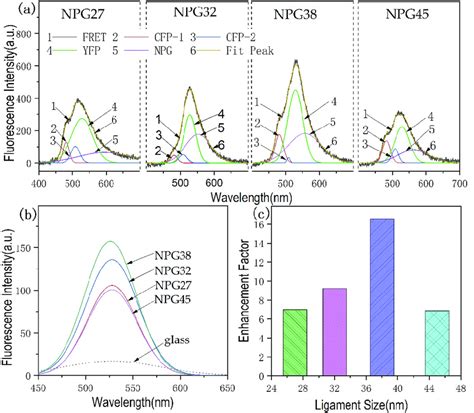 Fluorescence Spectra And Enhancement Factor A Fluorescence Spectra