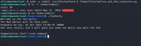 ZAFİYETLİ MAKİNE ÇÖZÜMÜ TRYHACKME WONDERLAND Siber İçerik Platformu