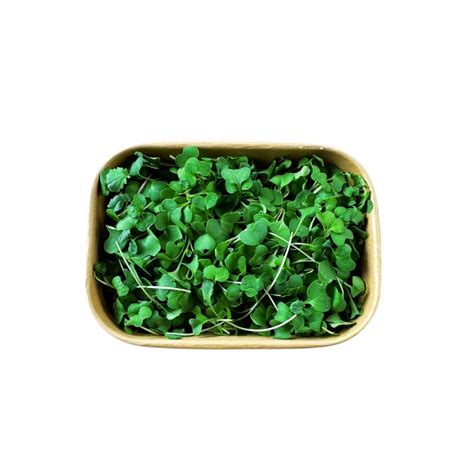 Broccoli Sprouts Pesticide Free 50g Foodcraft Online Store
