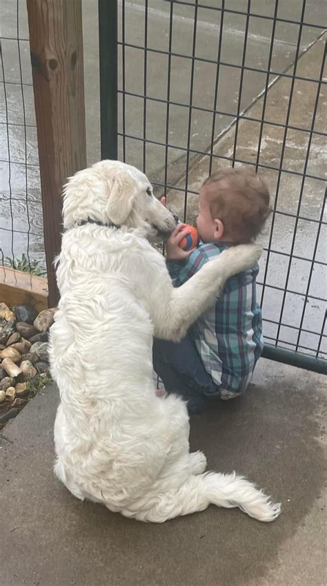 Gym Babes El Vídeo Importante Del Día