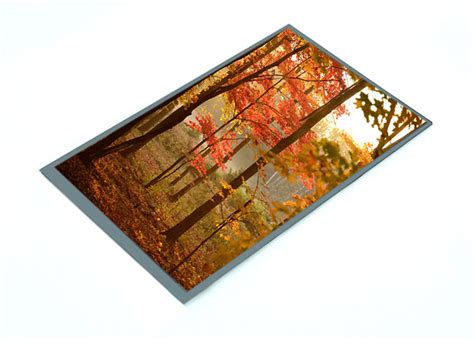 Z Inch Nits IPS LCD Screen MIPI Interface TFT Type Zhunyi