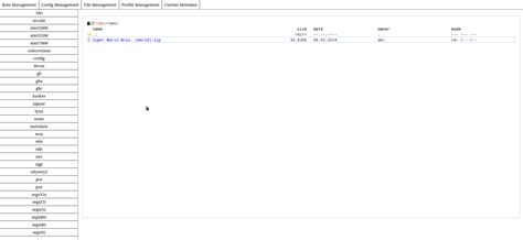 Installer Emulatorjs Avec Docker