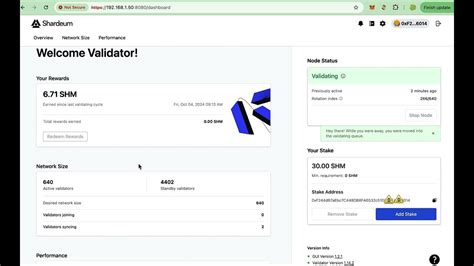 shardeum node active validator possible airdrop and test net coins youtube