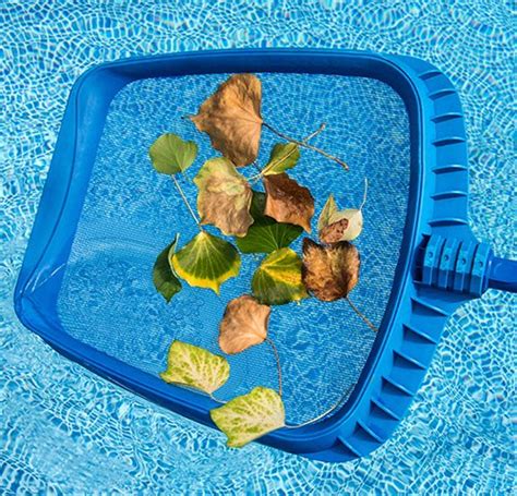 Rising Sun Pools And Spas Raleigh Area Pool And Hot Tub Expert