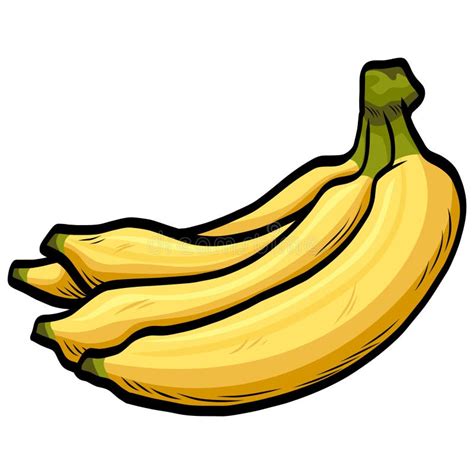 Banana Bunch Of Bananas Drawing Vector Illustration Stock Vector