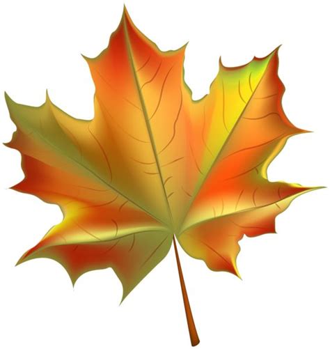Autumn Leaves Background Leaf Background Leaf Clipart