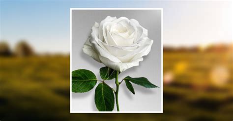 Jeffrey Hayes Obituary 2019 Halley Olsen Murphy Funerals And Cremations