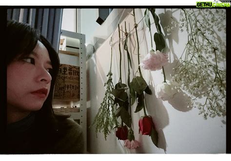 Chen Yan Fei Wiki Biography Age Gallery Spouse And More