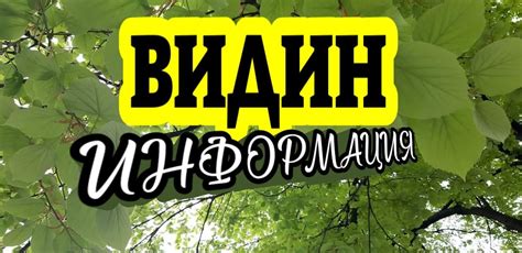 ВИДИН ИНФОРМАЦИЯ НОВИНИ