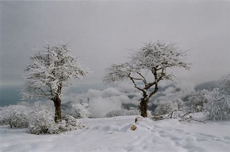 Top 10 Snowfall Places In Pakistan