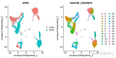 由于复现时t Sne图与原文不像而引起的反思 知乎