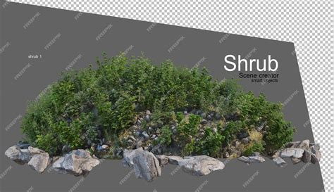 Premium Psd Beautiful Variety Of Shrubs Rendering